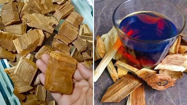 Palo azul: ayuda a infecciones del riñón, conoce sus beneficios y cómo ...